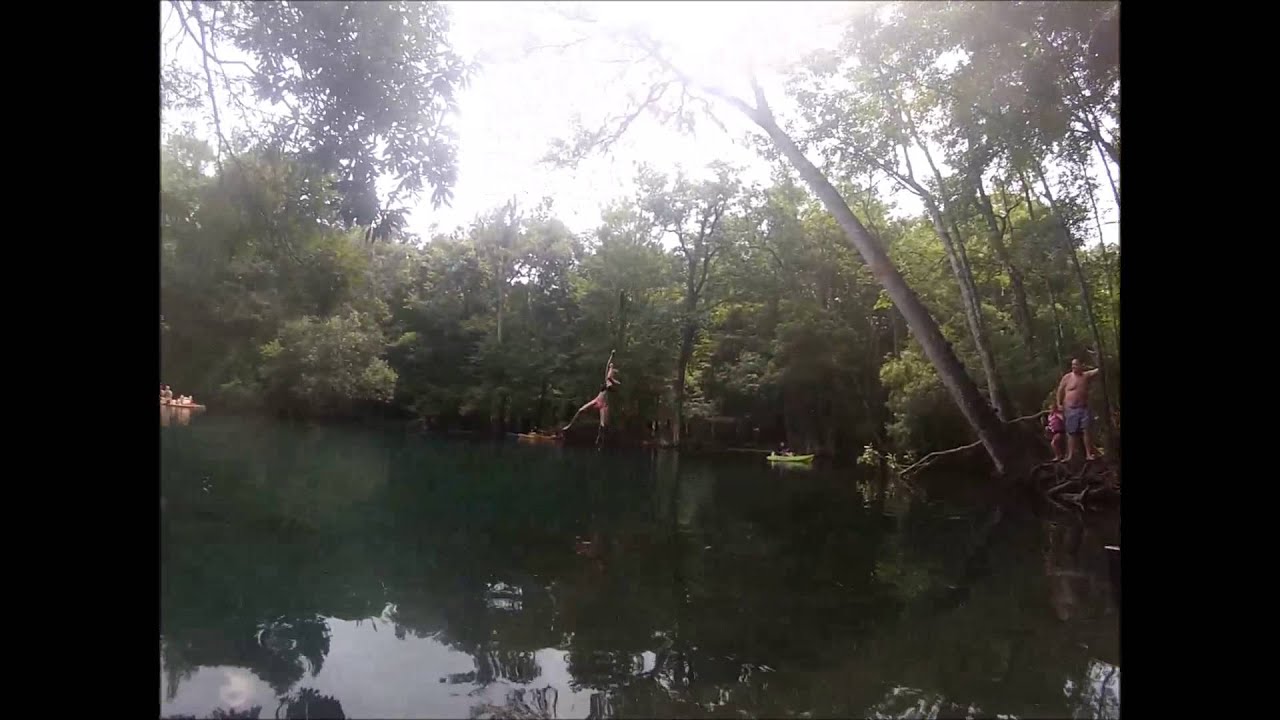 Wacissa Big Blue Spring Rope Swing 2015-07-12 - YouTube