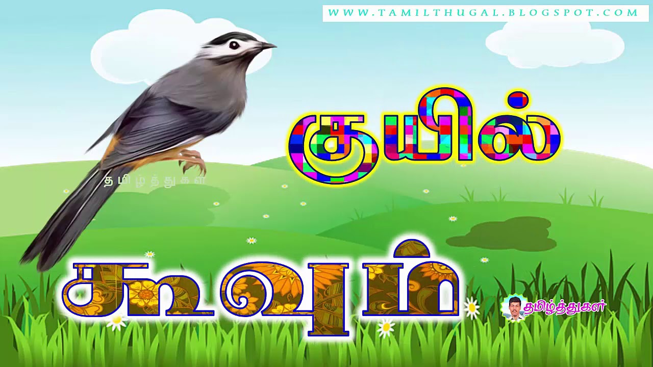 பறவைகளின் ஒலி மரபுச் சொற்கள் PARAVAIKALIN OLI MARABU SORKAL BIRDS ...
