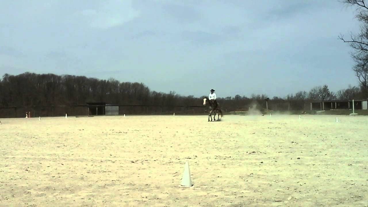 Denise Clardy Hobbys Slide Show WDAA Level 1 test1 April 16, 2015 take ...