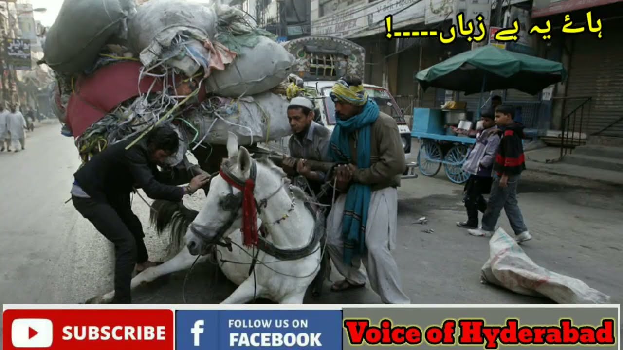 Overloaded Donkey Cart l Animals lover l Voice of Hyderabad l - YouTube
