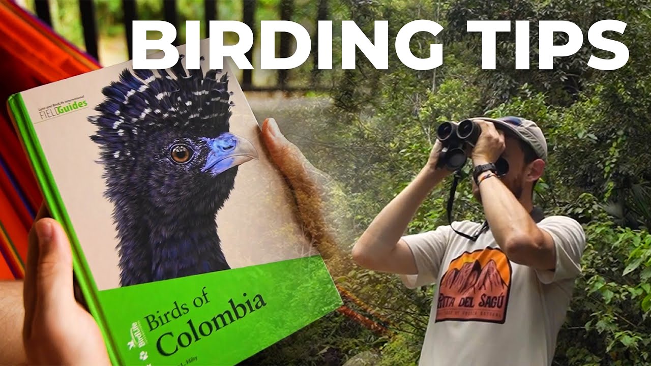 How to Prepare for a Birding Trip to a New Location | Cheep! - YouTube