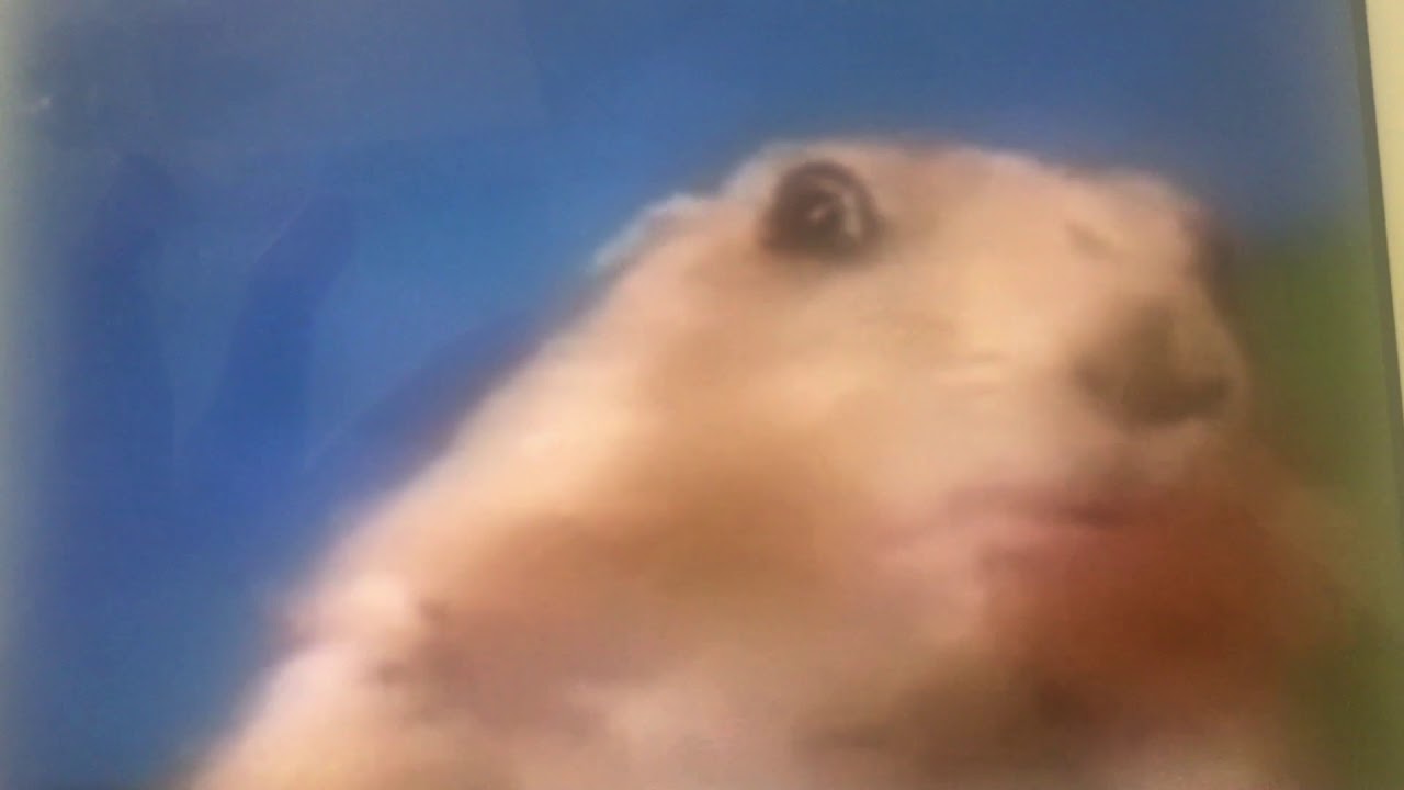 Dramatic Chipmunk (Sound Effect 4K of the Volume) - YouTube