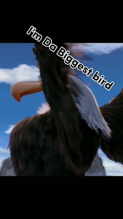 Im Da Biggest Bird Original Youtube