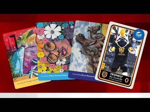 ACPL releases new library card designs, list of discounts for cardholders