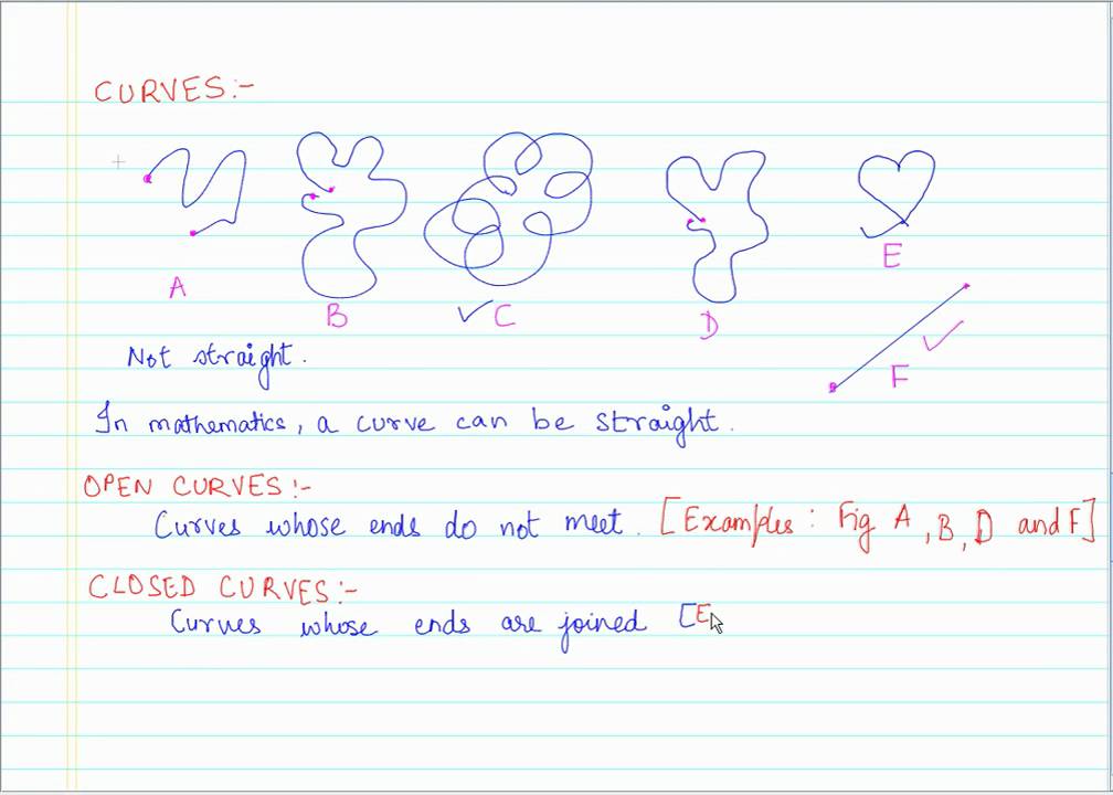 06 Curves in Geometry CBSE MATHS - YouTube
