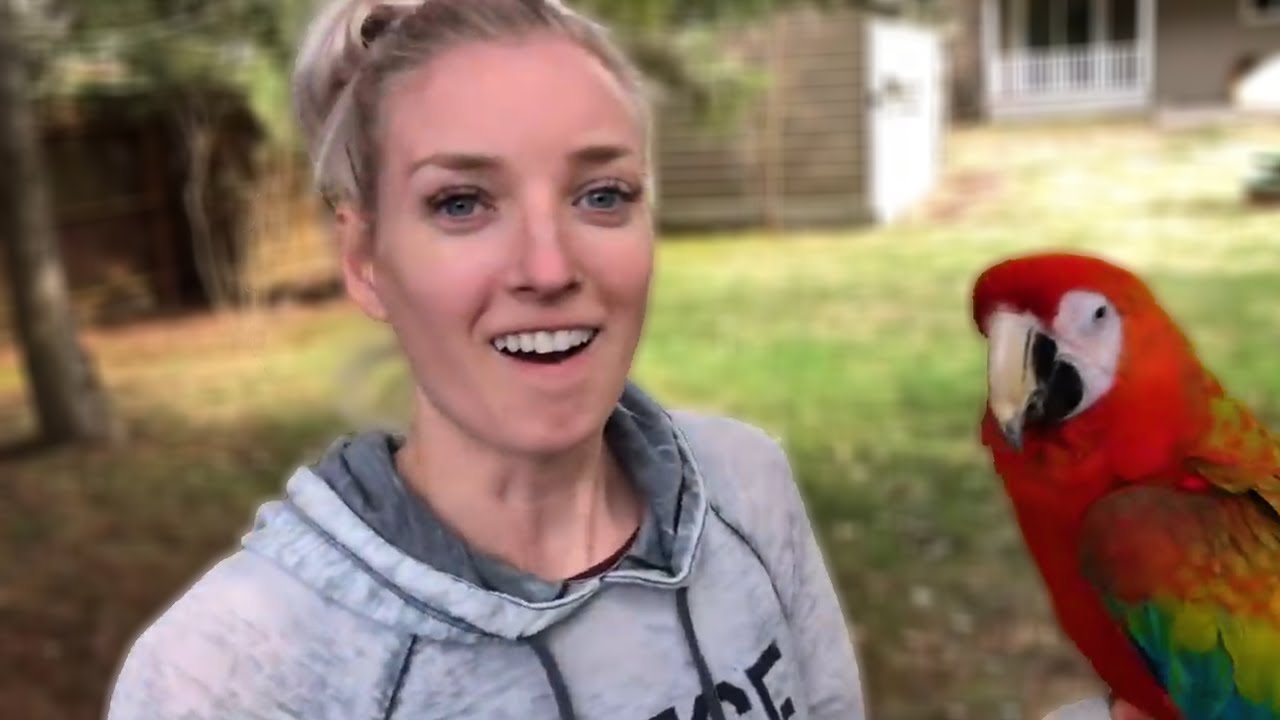 Morgan Goes OUTSIDE!!!! | Macaw's First Time in Outdoor Aviary - YouTube