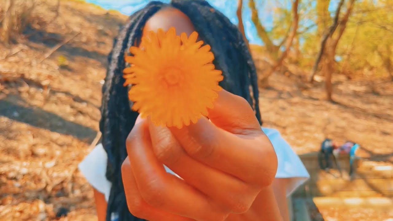 PICK A FLOWER 🌻🌷 SUMMER PREDICTIONS | major changes the next 3 months 🦋 ...