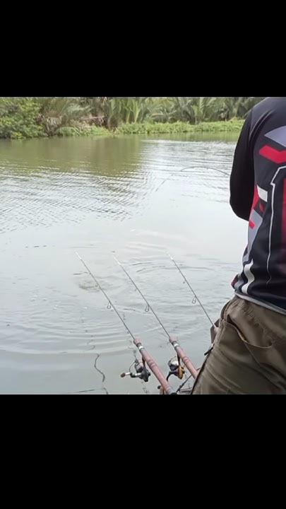 Belanak paling besar di spot ini || mancing belanak dasaran di Nusakambangan - YouTube