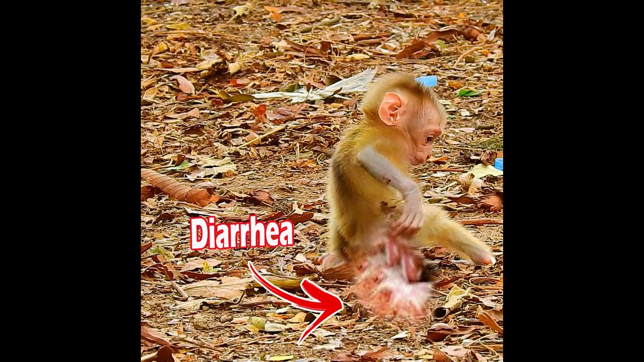 Oh My god..! the baby Lucie Was problem with Diarrhea - YouTube