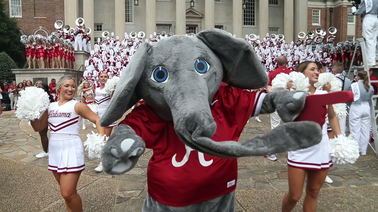 Elephant Stomp prior to the Alabama and Ole Miss game - YouTube