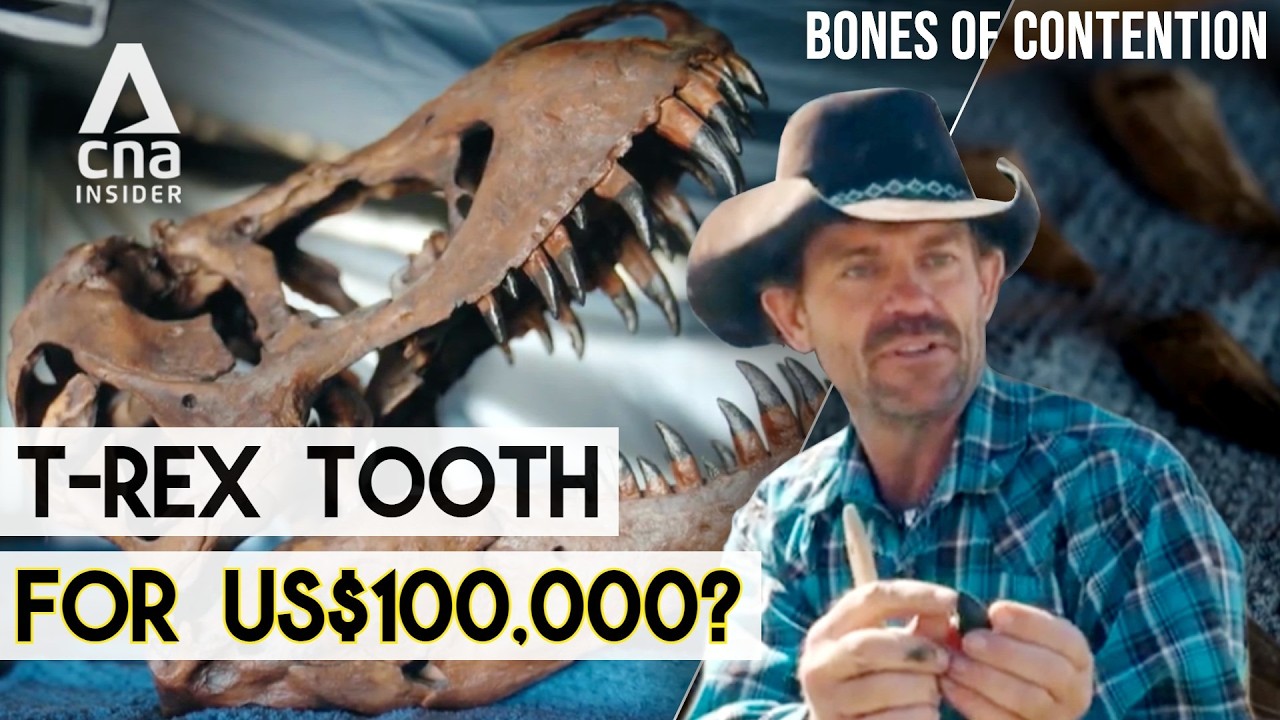 Meet The “Dinosaur Cowboy” Who Hunts Fossils Worth A Fortune | Bones Of ...