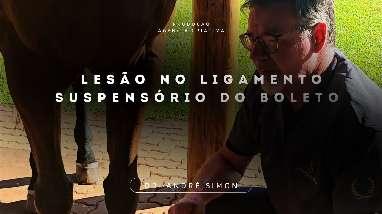Lesão no Ligamento Suspensório do Boleto | DR. André Simon - Vet Raiz ...