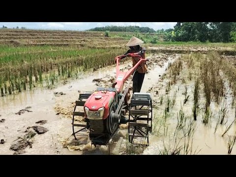 Traktor sawah..!! Quick G1000 dengan diesel kubota RD85DI,terasa ringan ...