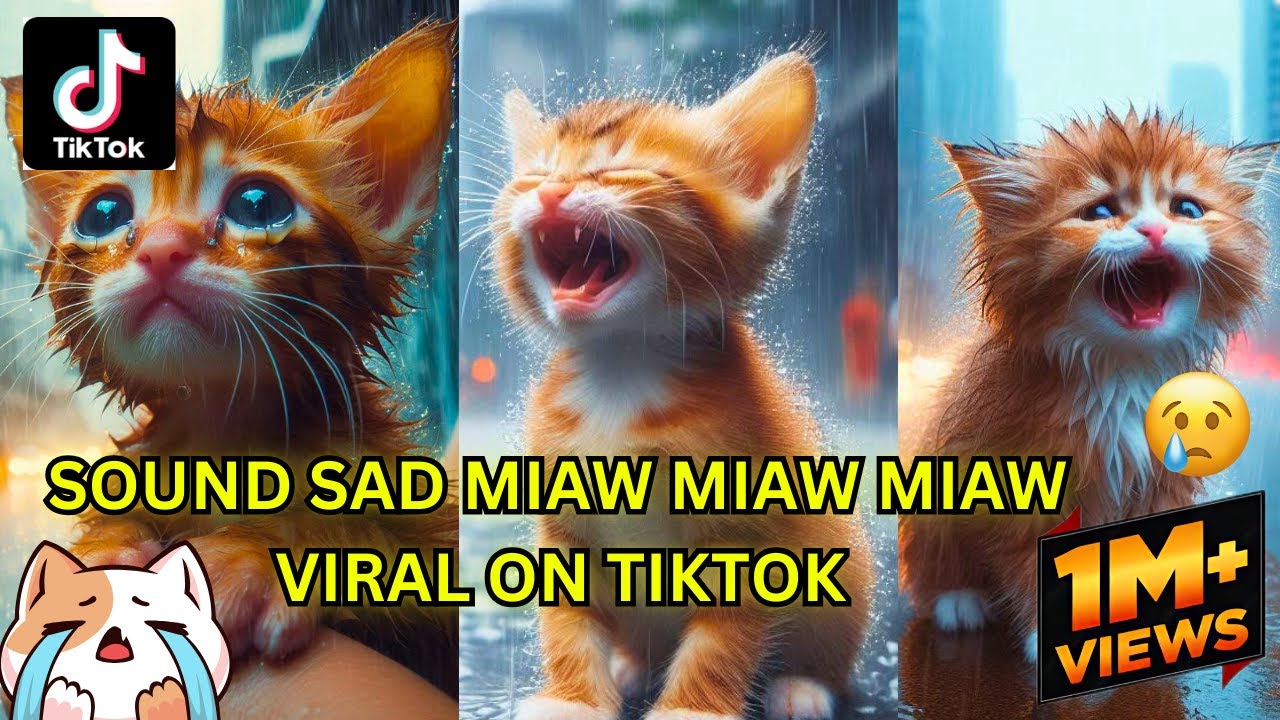 SOUND SAD MIAW MIAW MIAW VIRAL😍 ON TIKTOK 🤑| COPYRIGHT FREE SONG MP3 ...