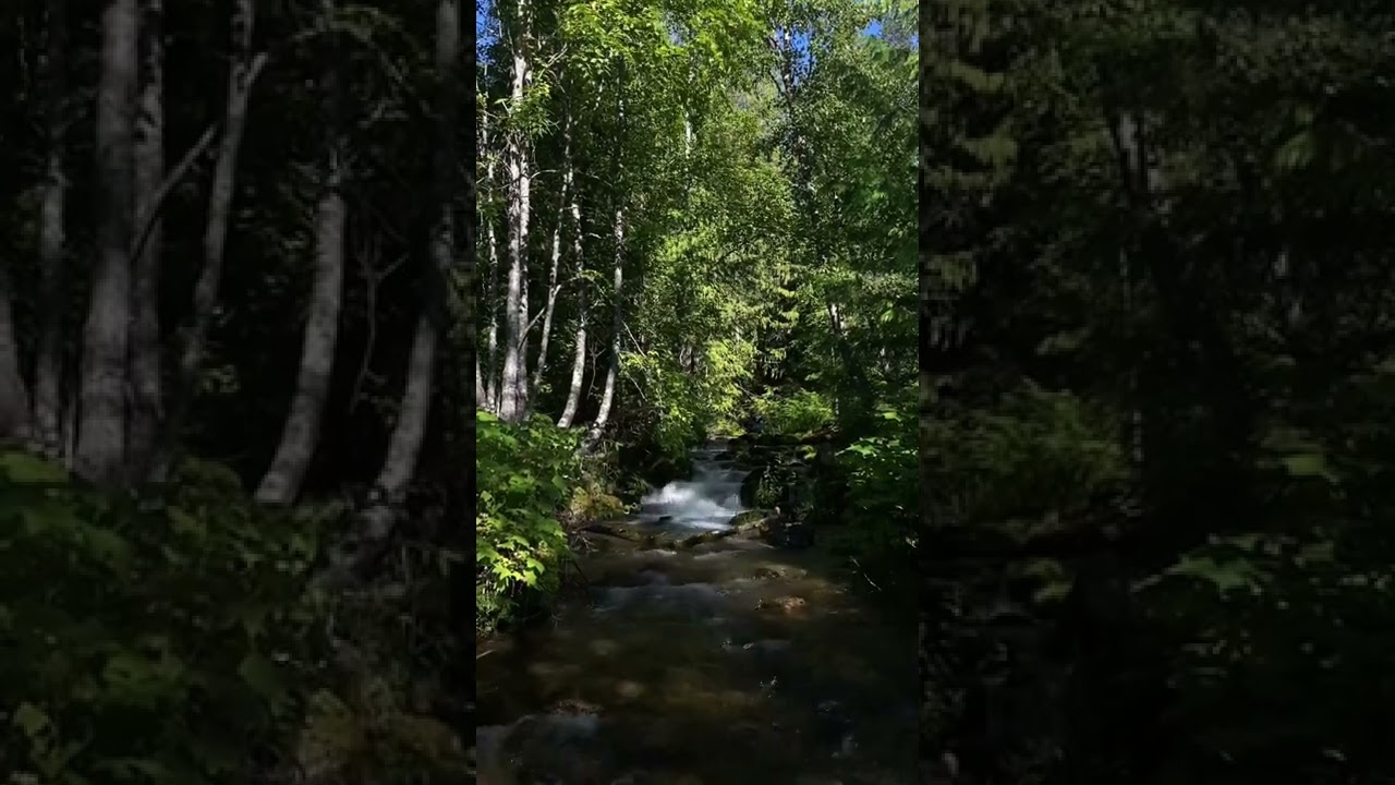 Soothing Mountain Streams - YouTube
