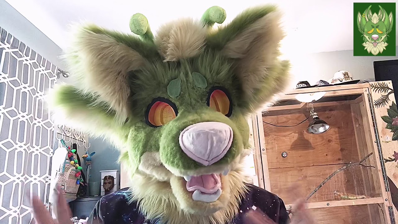 Intro to Leech - YouTube