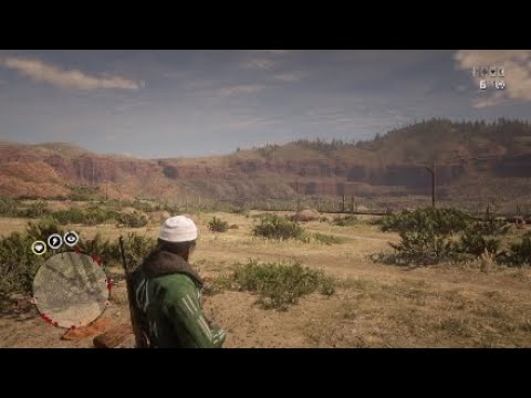 [Red Dead Online (RDO)] TONIC GLITCH with CARCANO - YouTube