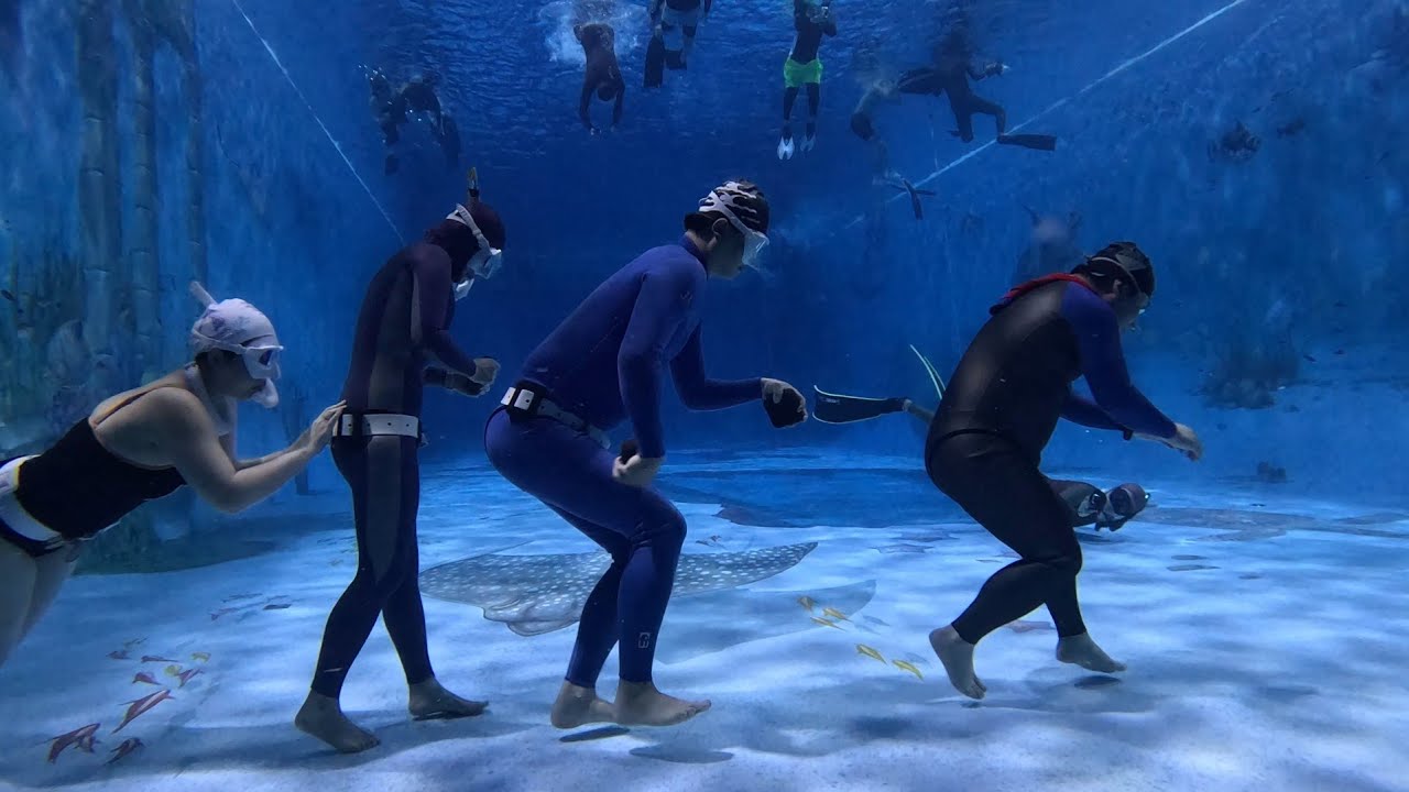 Apnea Walking, Songdo Sports Park - YouTube