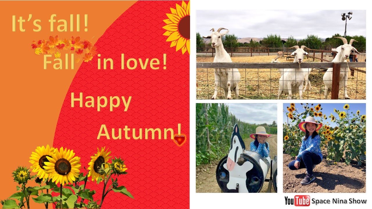 It's fall! Fall in love! Happy Autumn! | Pumpkin Patch Fun | Swank Farm ...