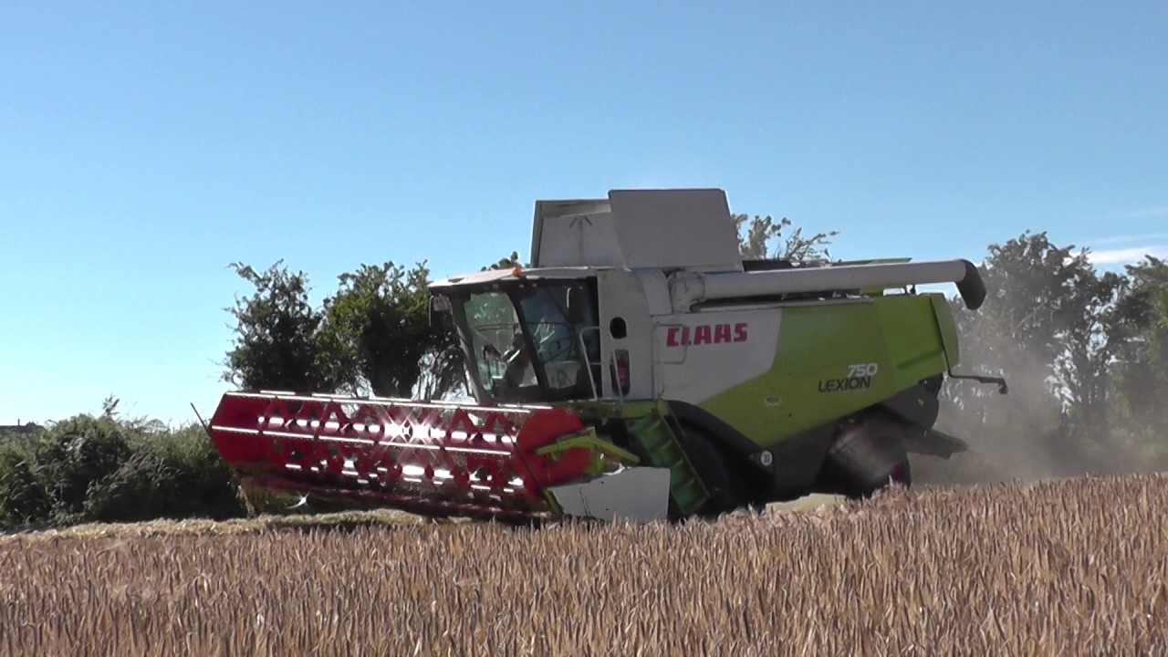 Harvest 2016 Claas Lexion 750 Combine Harvester - YouTube