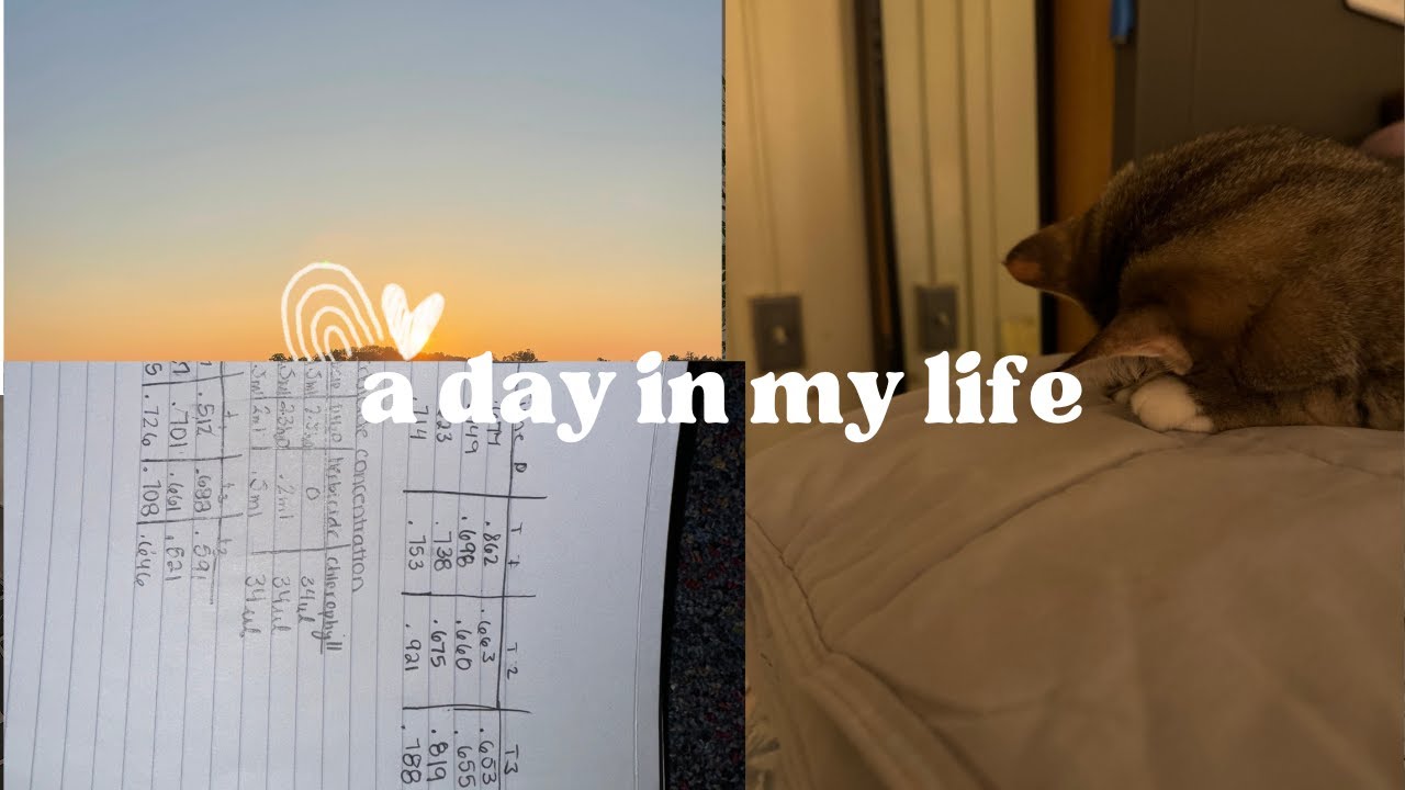 DAY IN THE LIFE | Gracie Person - YouTube