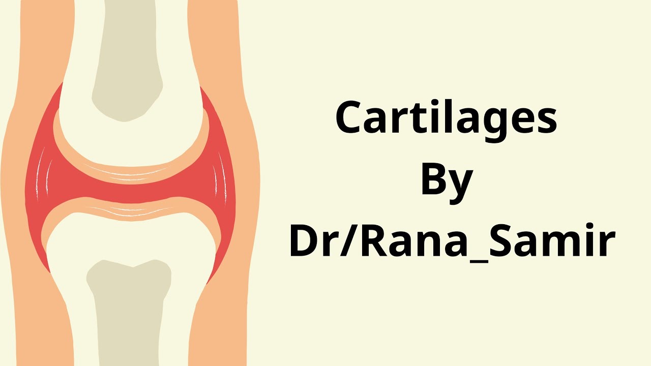 Cartilage Features and Classification - YouTube
