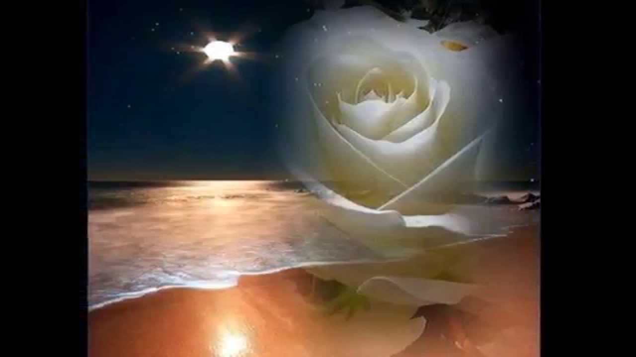 Marry me Jane- You didn't kiss Me - YouTube