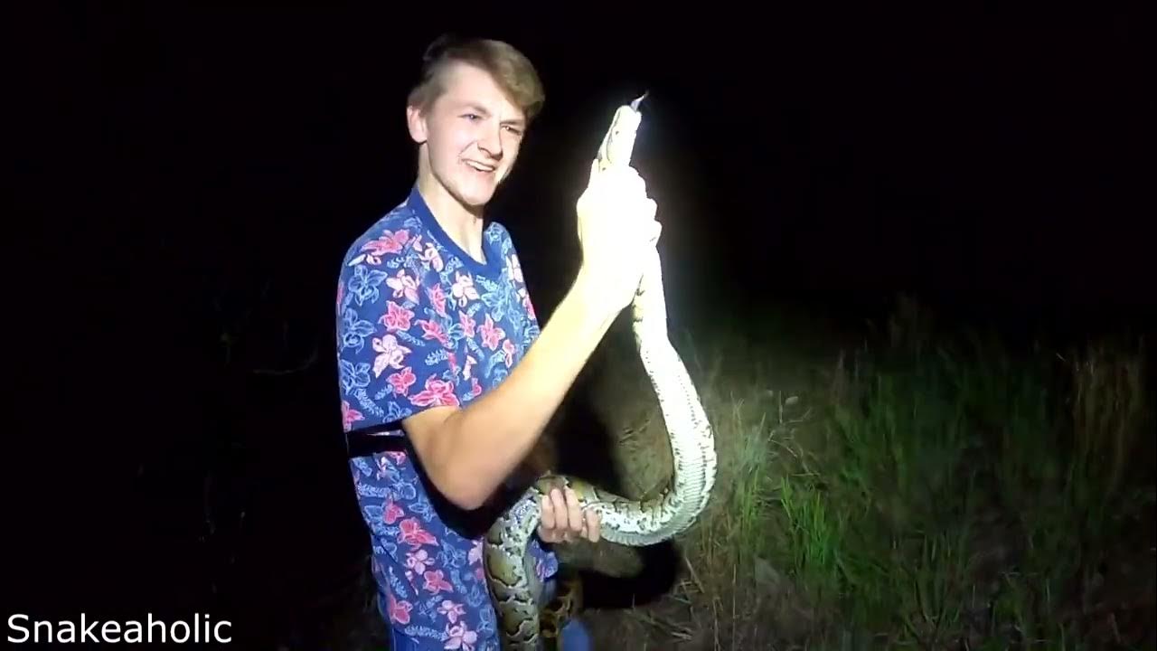 CATCHING 6 PYTHONS IN 1 NIGHT | Snakeaholic - YouTube