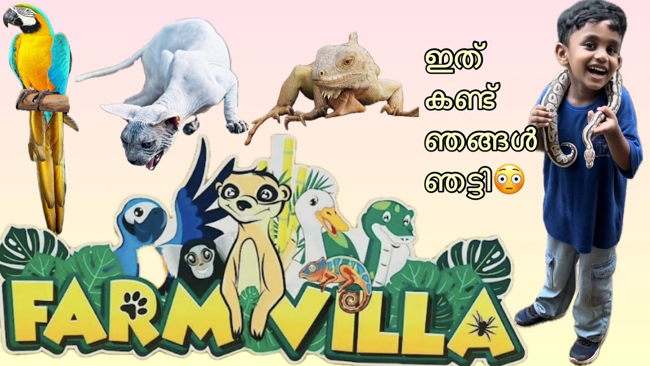 ഇത്രേം variety animals ഉള്ള zoo ഉണ്ടാവില്ല | Farm villa chavakkad ...