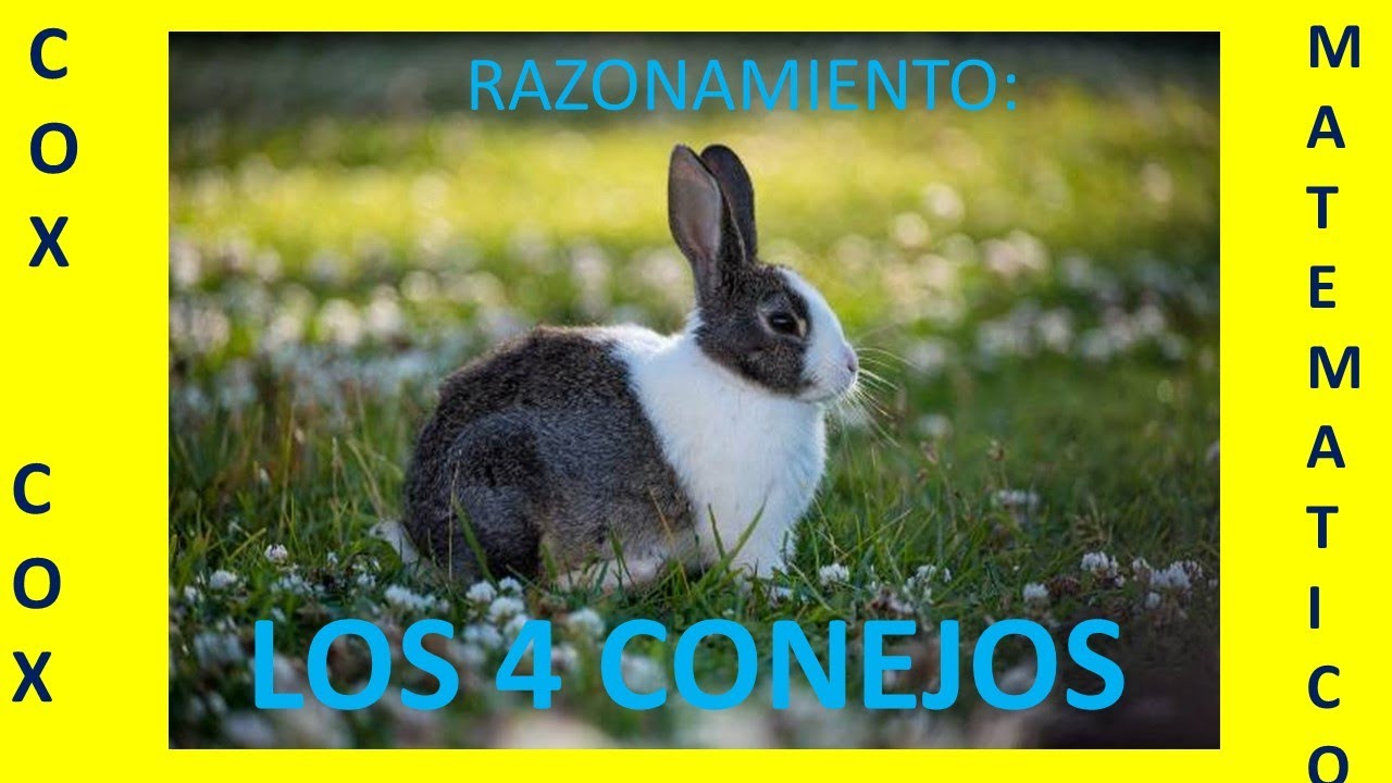 142) RAZONAMIENTO LOS 4 CONEJOS - YouTube