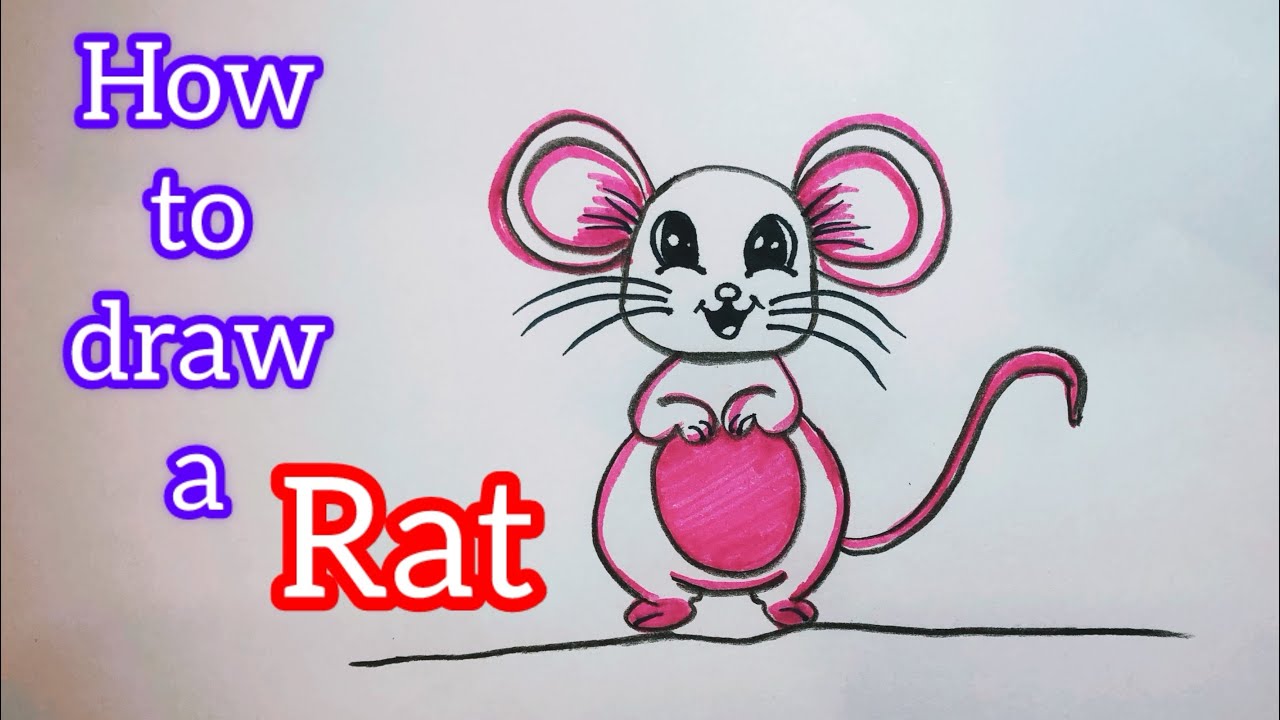How to draw a Rat || Rat drawing easy || Mouse drawing easy || Animals ...