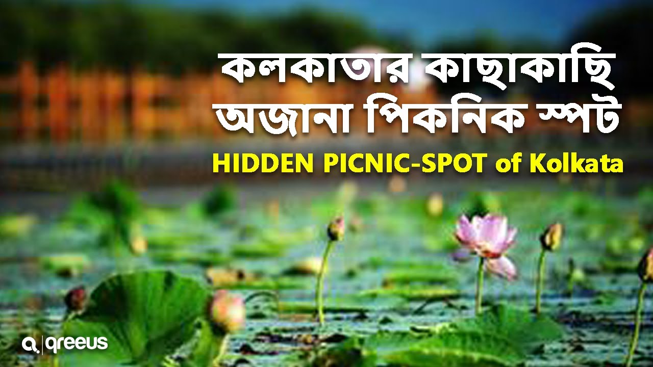 নুনের ভেরি - কলকাতার সেরা অফবিট পিকনিক স্পট | Nuner Bheri Picnic Spot ...