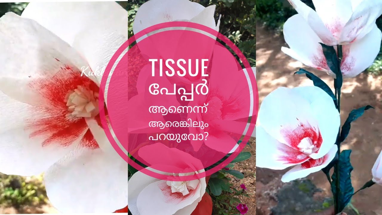 Tissue flower From tissue-flower-from