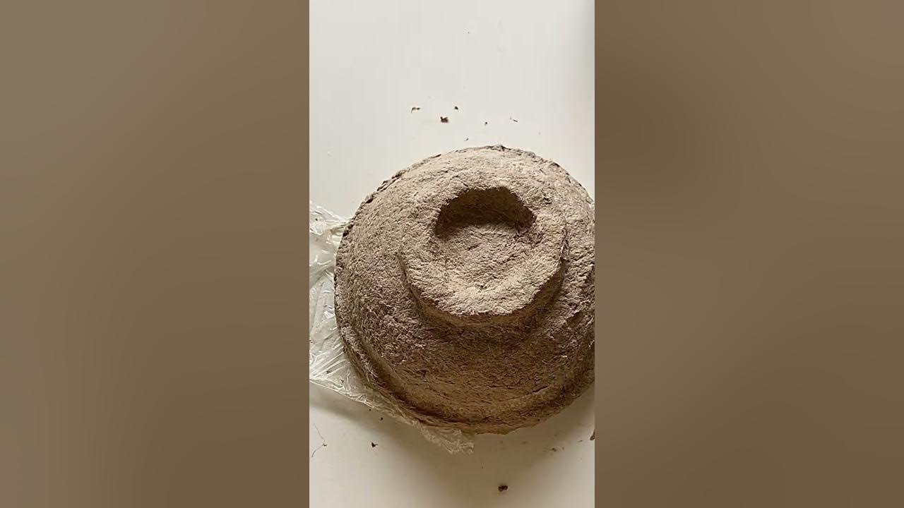 Жизнь без отходов/не выбрасывайте ячейки для яиц/ как сделать из них ...