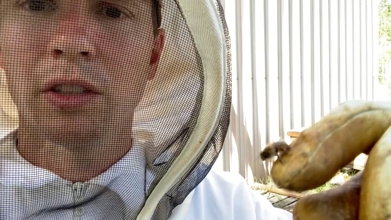 Intermediate Beekeeping - Fixing a Drone Family & Making a Nuc - YouTube