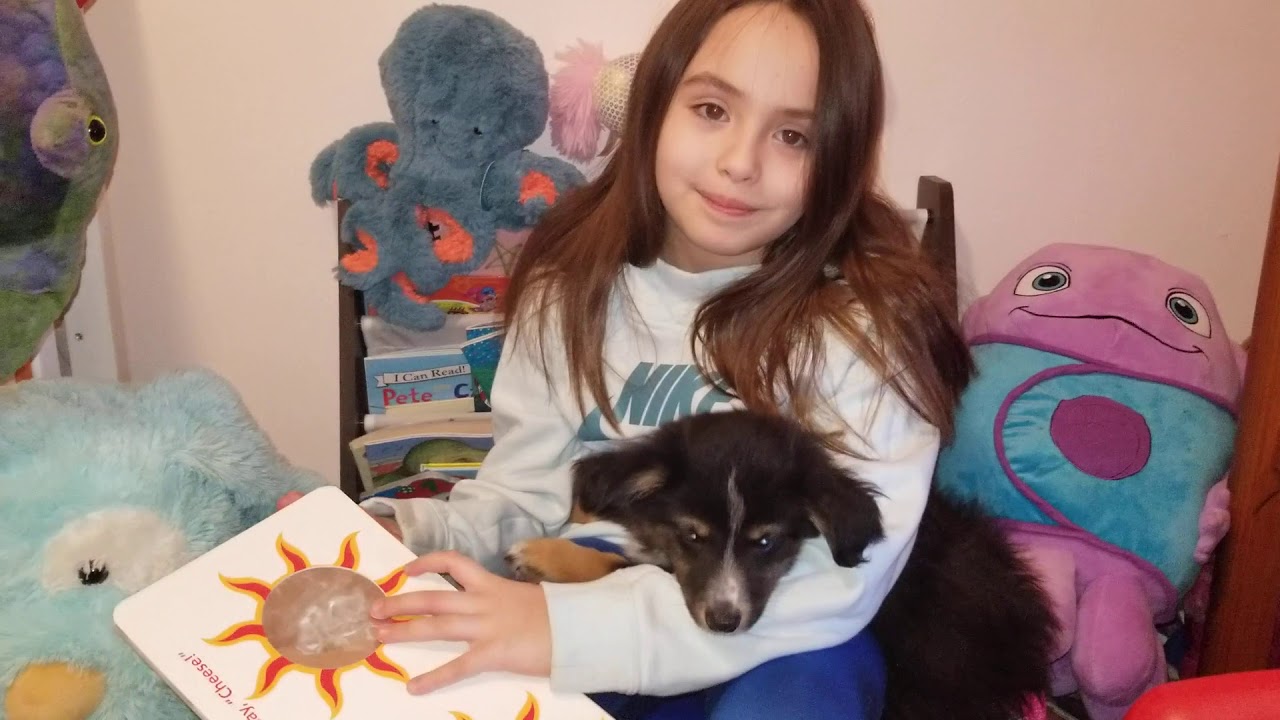 Mirror me! A Mirror Book - YouTube