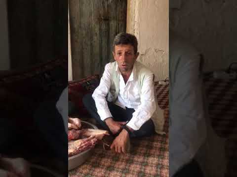 ÇOBAN ALİ BAŞKANIN Derya halasına sert şekilde seslenişi ve MACERALARI