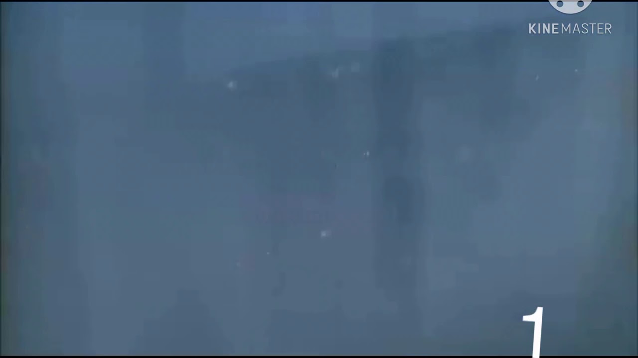 Dinoshark 2011 all attacks - YouTube