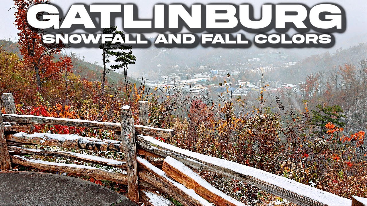 Gatlinburg, TN: SNOWFALL AND FALL COLOR| November 10th, 2025 - YouTube
