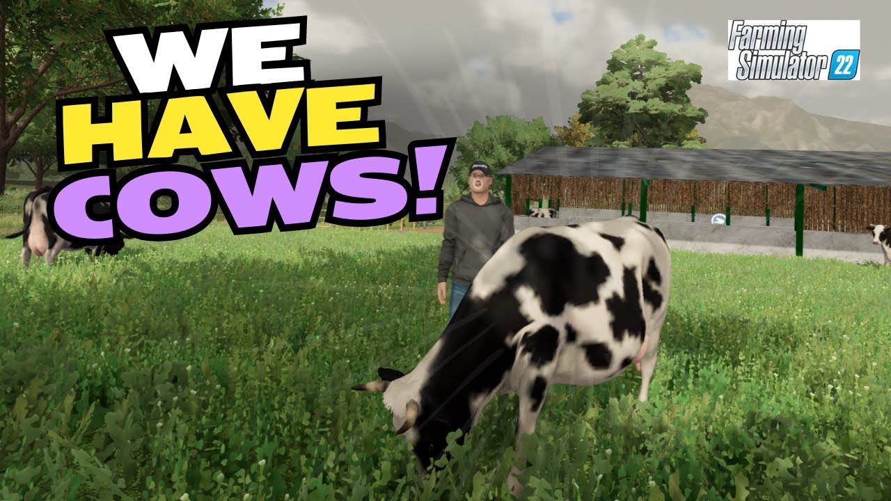 Bovine Beginnings in The Cow Farm Chronicles # 2 | Farming Simulator 22 ...