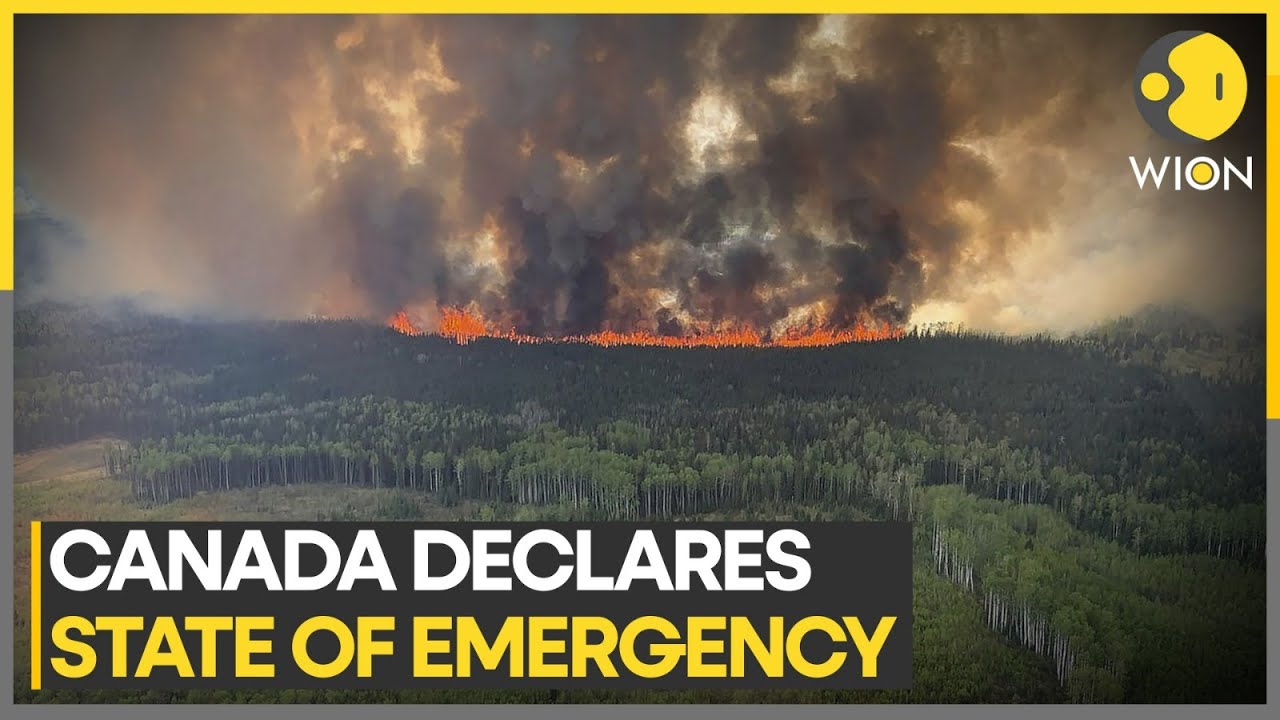 Wildfires force mass evacuation in Canada | Latest World News | WION ...