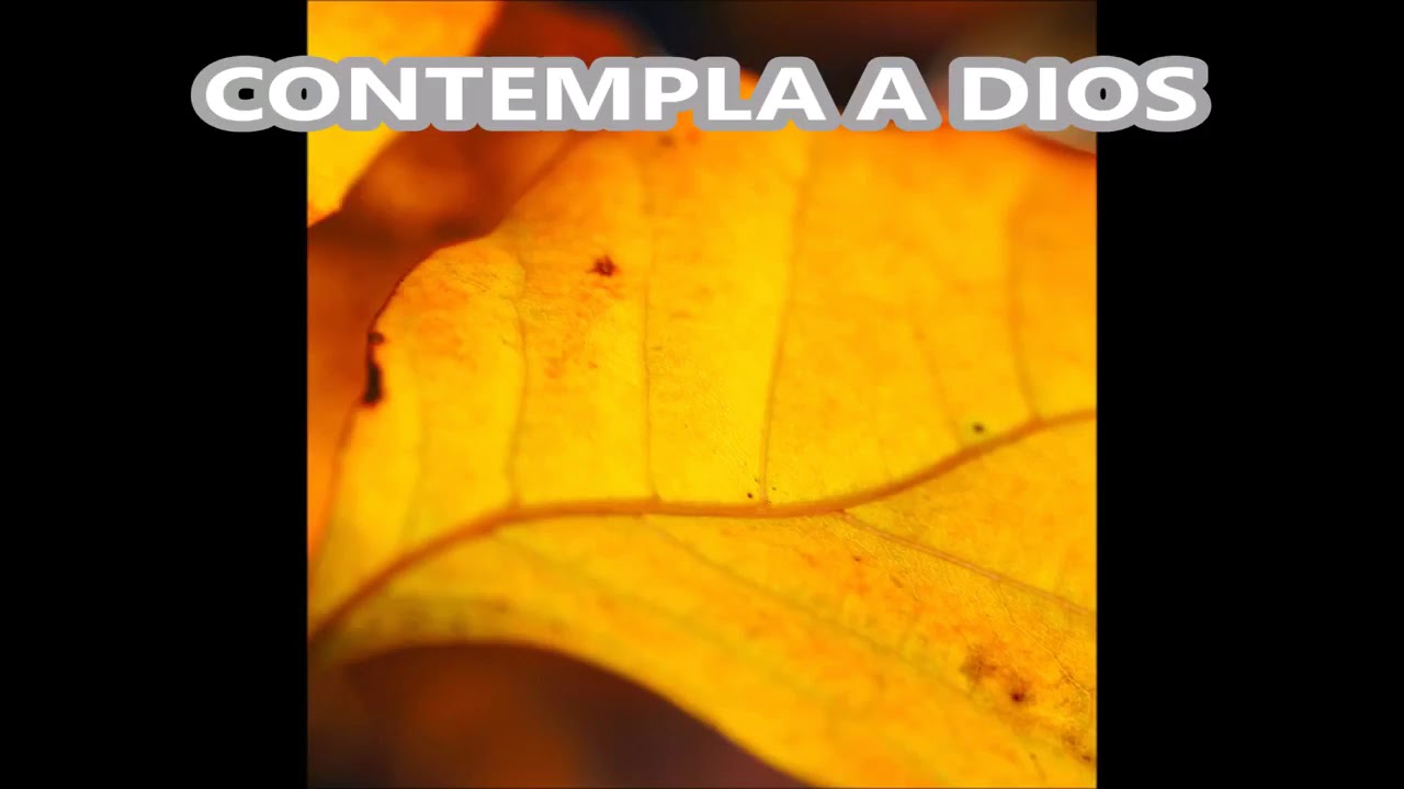 Contempla a Dios pista Juan Andres - YouTube