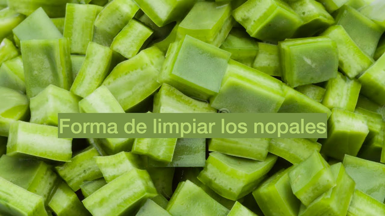 Como limpiar nopales - YouTube