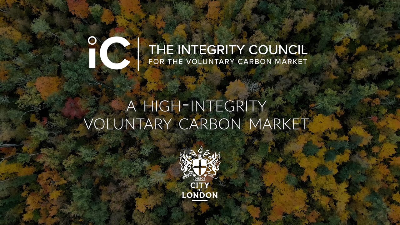Integrity Council for Voluntary Carbon Markets Public Consultation ...