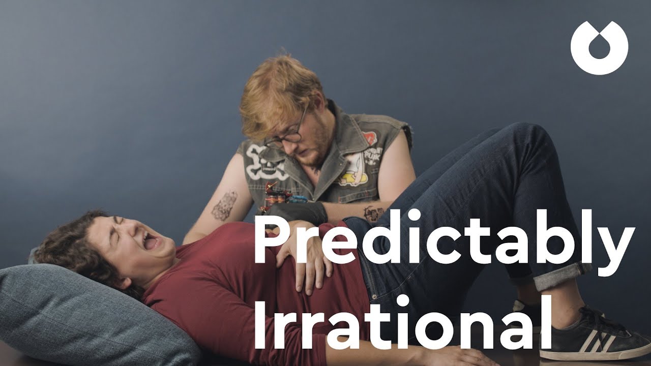 How to Avoid Irrational Decisions With Predictably Irrational by Dan ...