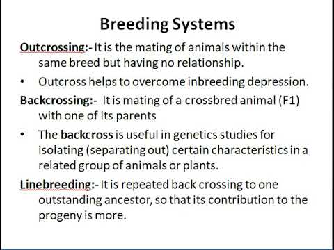 Genetics and Systems of Breeding in Livestock - YouTube
