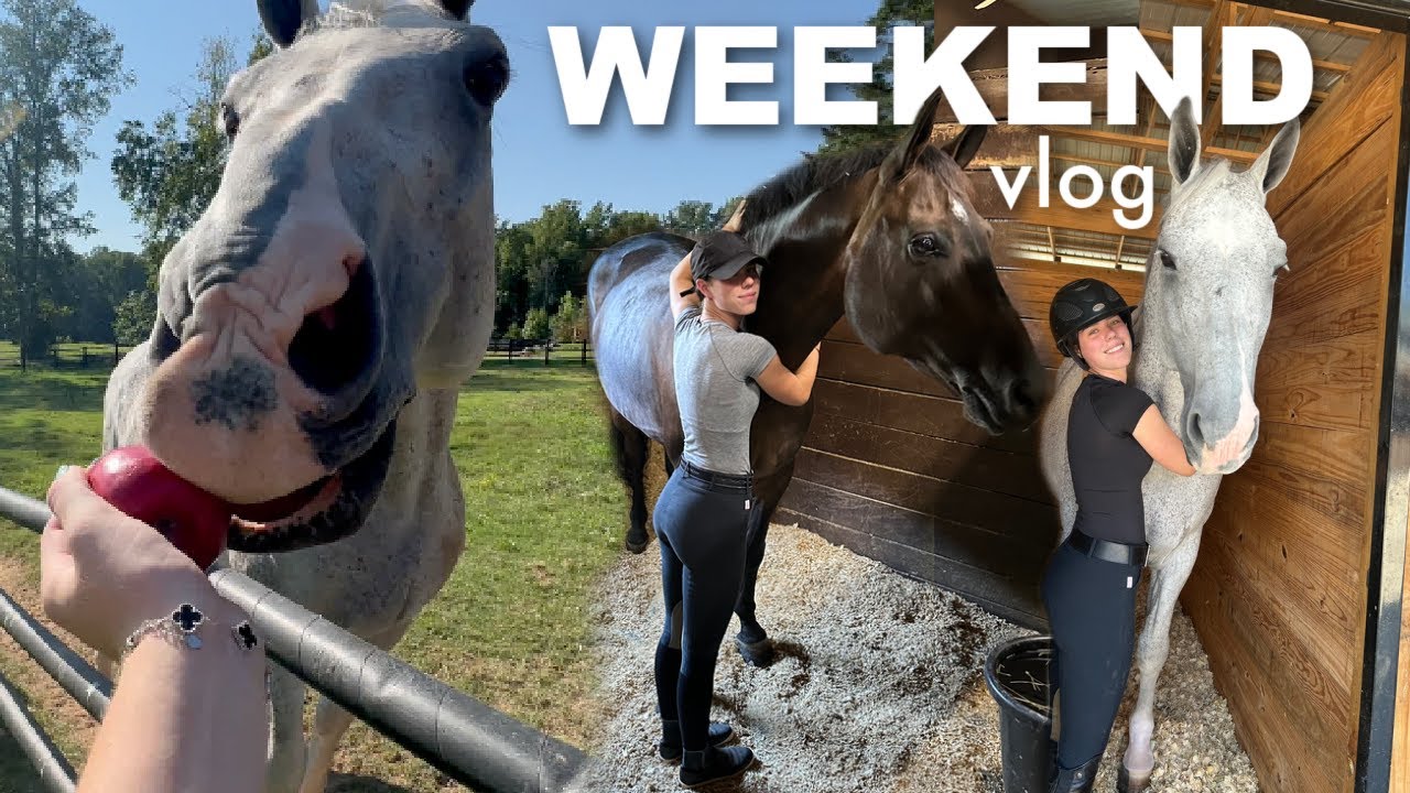 weekend riding vlog! + taking care of my horses - YouTube