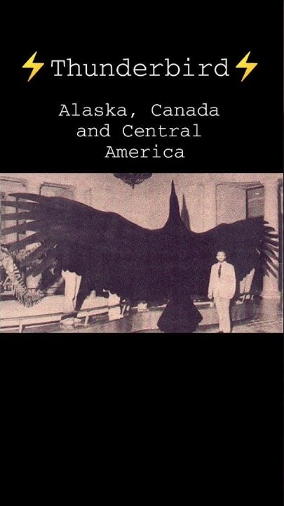 The Sky King #shorts #thunderbird #thunder #cryptids #airsoft #scary - YouTube