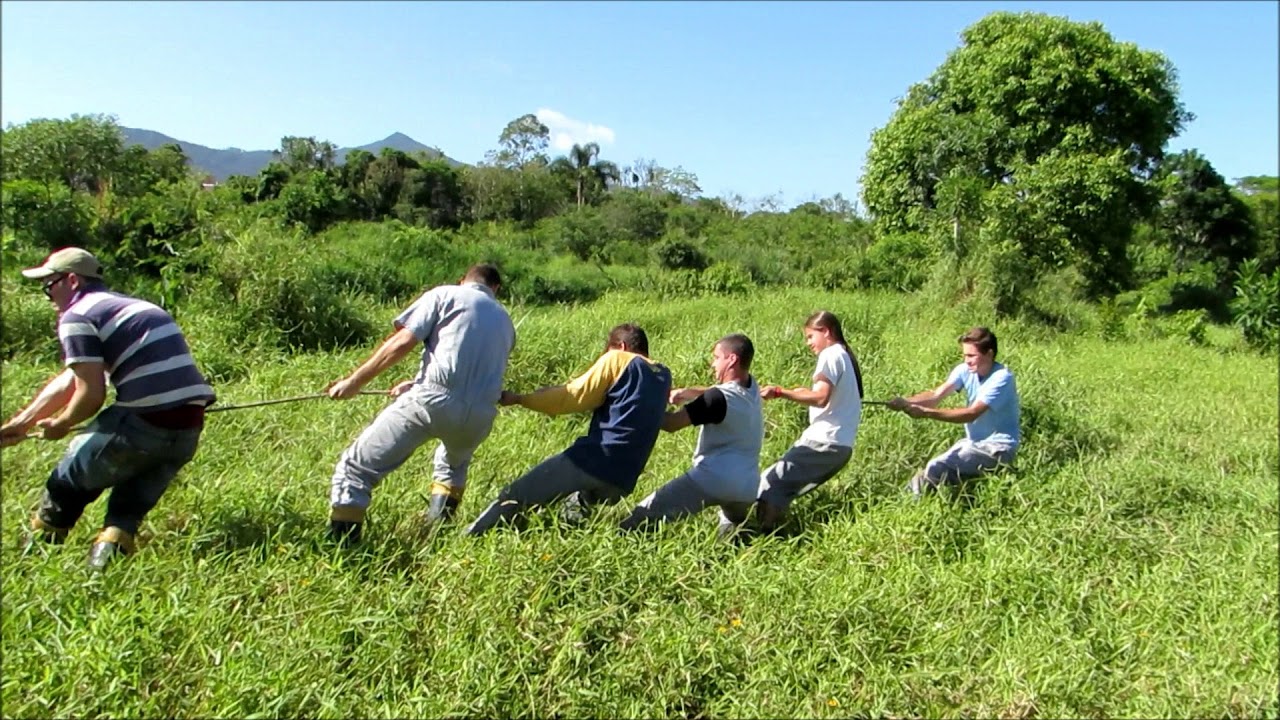 TIRANDO A VACA DO BREJO: A MISSÃO - YouTube