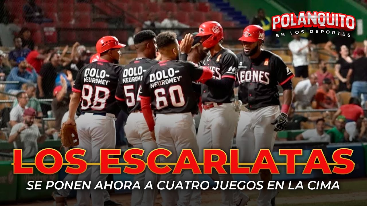LEONES DEL ESCOGIDO: VUELVEN A REMONTAR Y SE AFIANZAN EN LA CIMA DEL ...